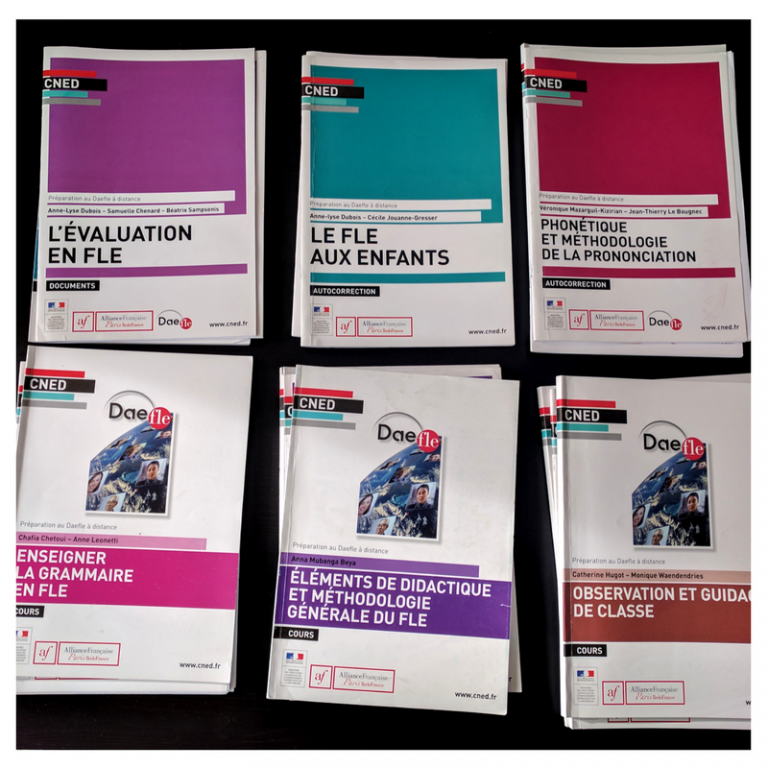 Pro : j'ai suivi la formation du DAEFLE - Madame Dree