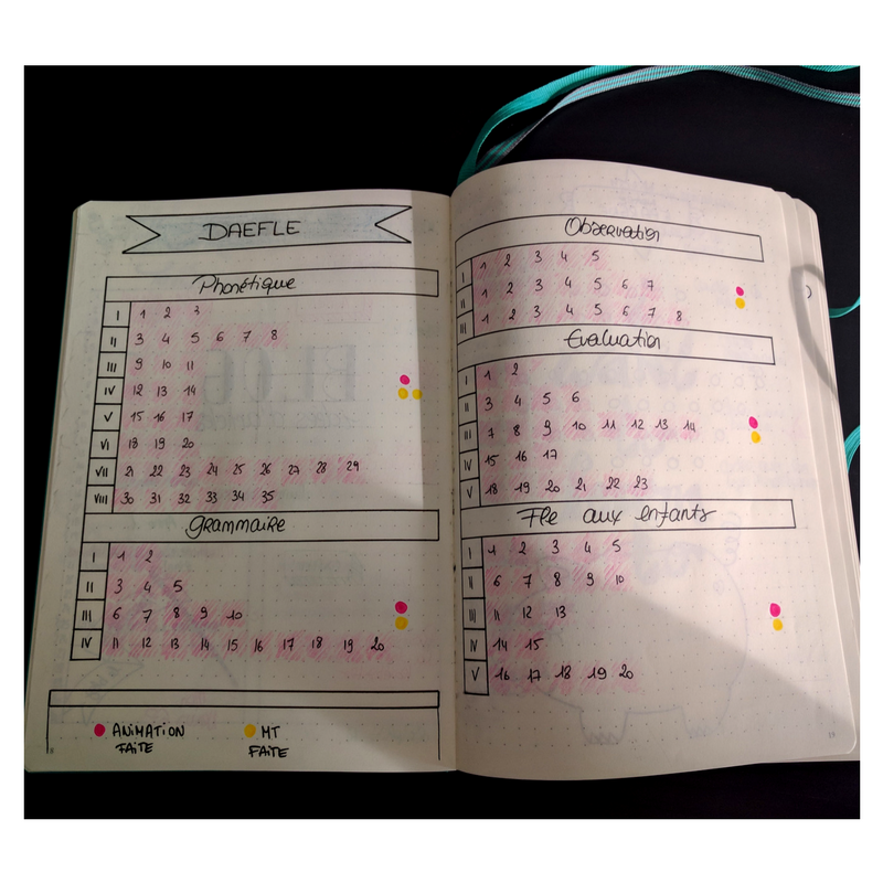 Pro : j'ai suivi la formation du DAEFLE - Madame Dree